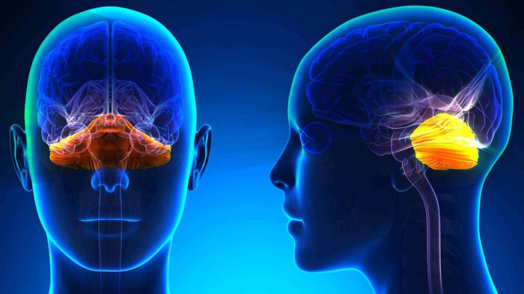 Atassia | Medical Pharma News | Modern health and technology news